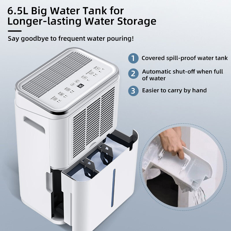 【Pre-order with 2 Sets of Filters for Free】LifePro DH30 30L/D Dehumidi – LifePro SG